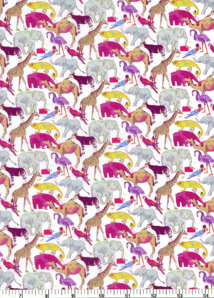 Queue for the Zoo Collection: Queue for the Zoo (A) – DuckaDilly